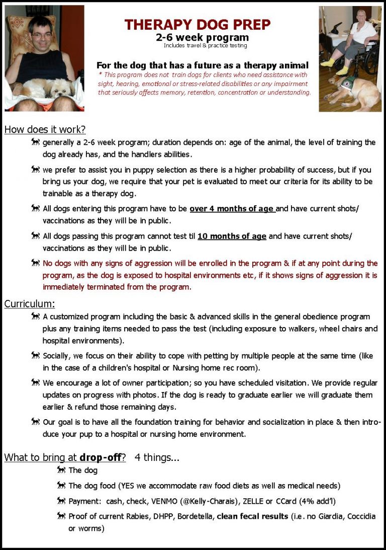 Therapy Dog Program | teacherspet